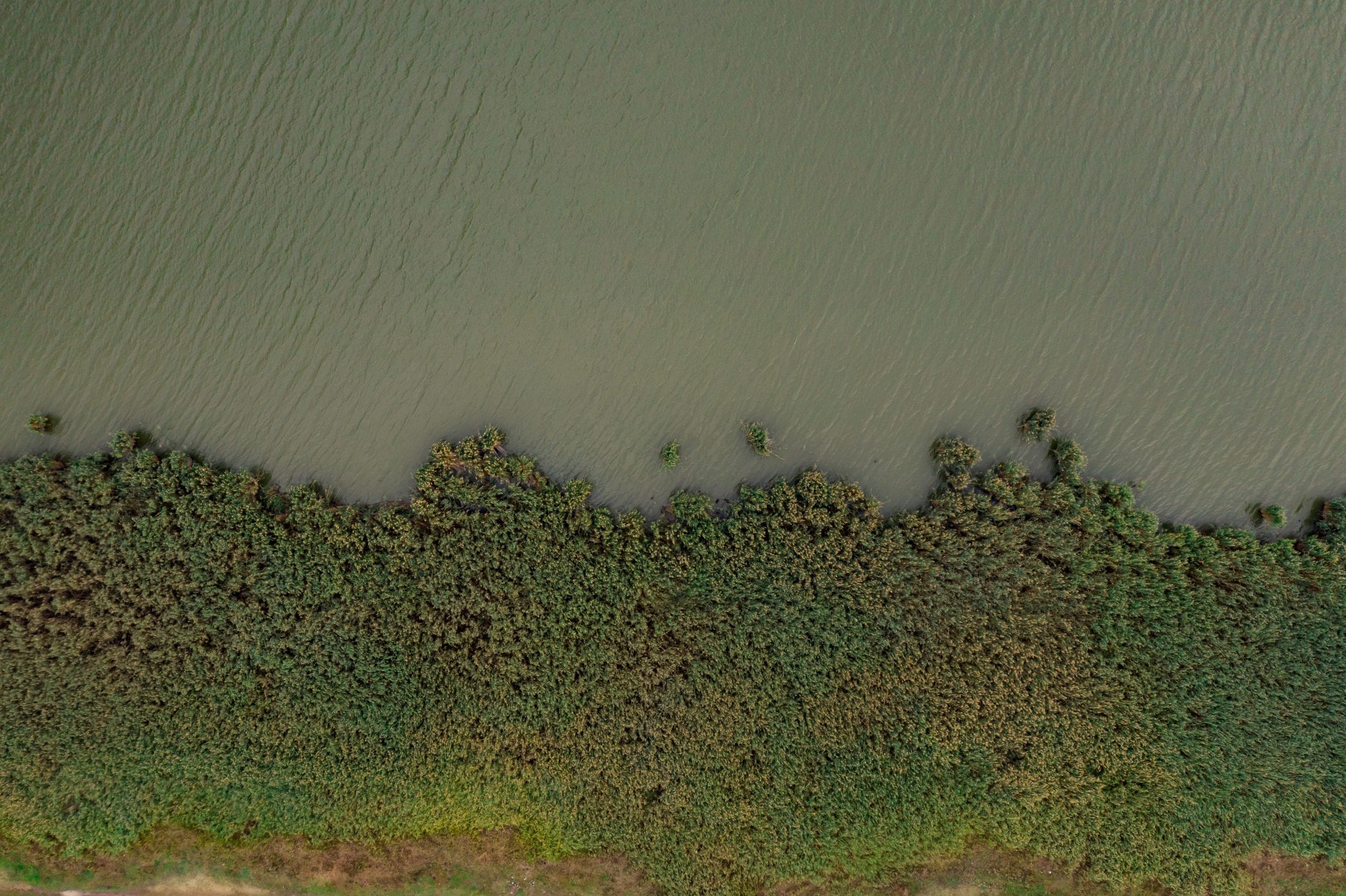 Watershed Analysis Services | Terrayn Land Consulting Watershed Services